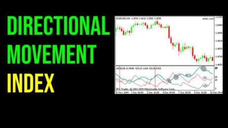 ¿Qué es el DMI? | Academia Simple